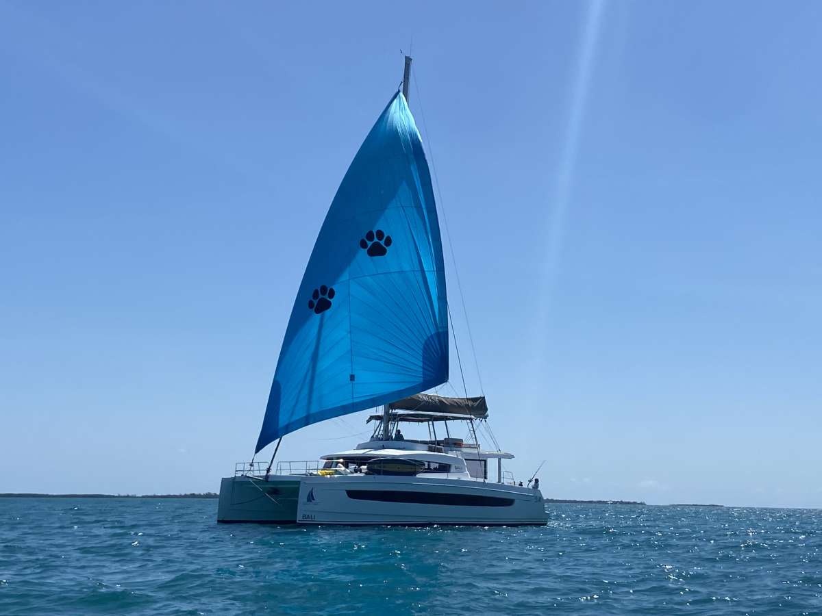 Nauti Dogs - Infinity Yacht Charters
